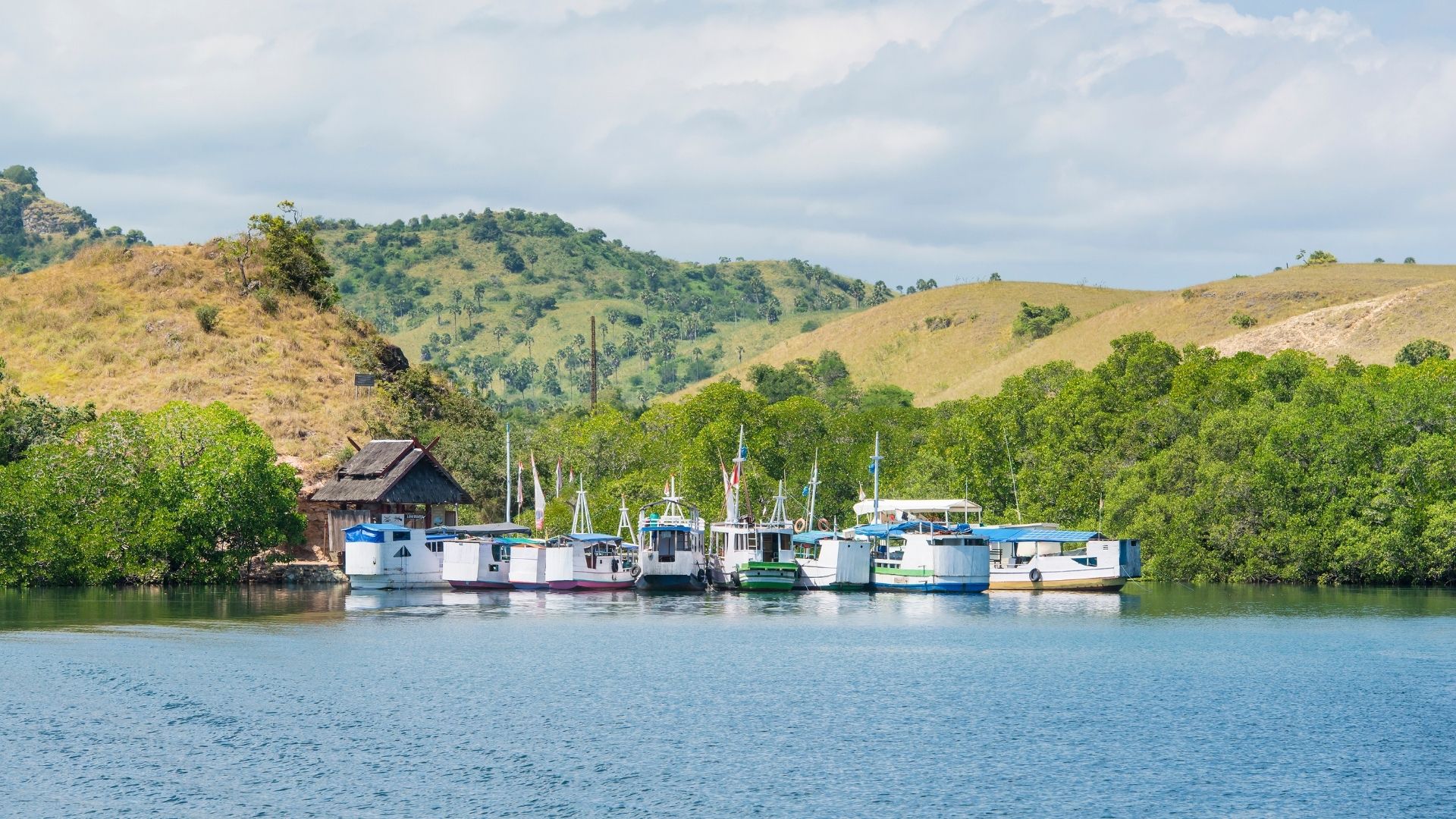 Menilik Keindahan Pulau Buaya di Kabupaten Alor | Atourin Blog