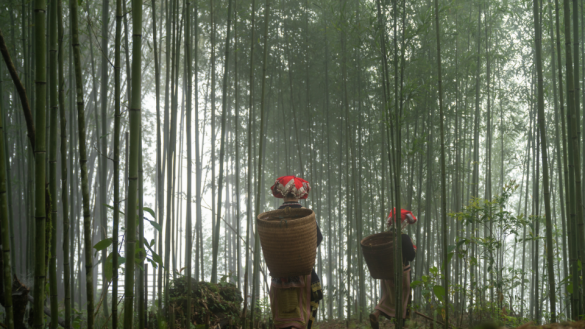 Mengenal Budaya Orang Rimba Melalui Film “Sokola Rimba” | Atourin Blog