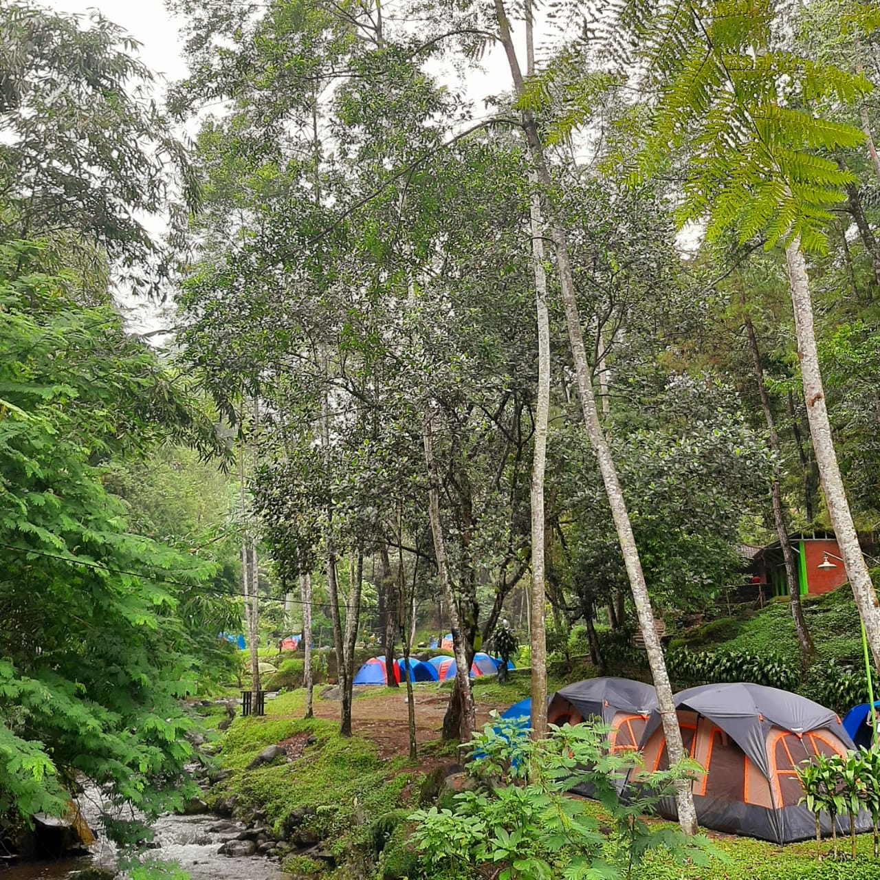 5 Alasan untuk Berkemah di Capolaga | Atourin Blog