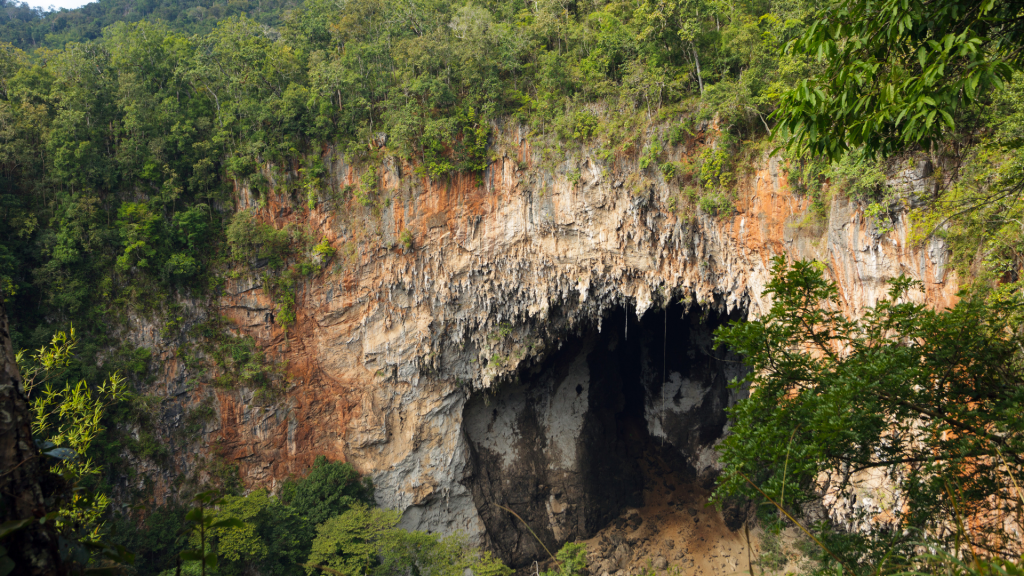 Kawasan Karst Sangkulirang-Mangkalihat, Area Peninggalan Lukisan Tapak ...
