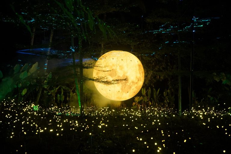 Ada yang Baru di Bali! Hikaria, The First Immersive Night Walk ...